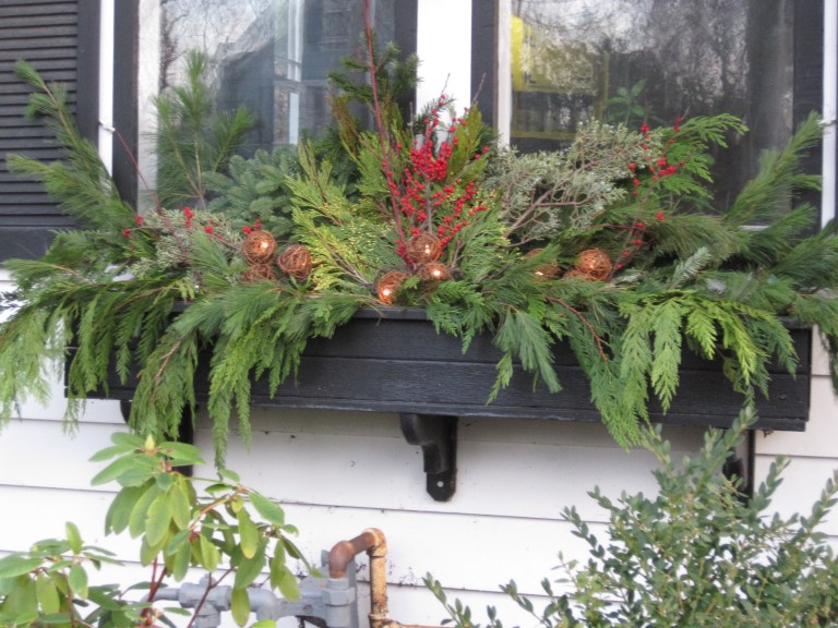 Top 10 garden stores in Madison, Wisconsin – Mel's Green Garden